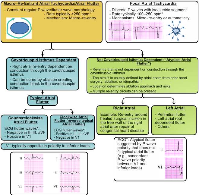 Types of AF | MEDEST