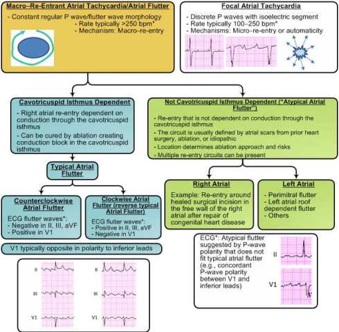 Highlights from 2014 AHA/ACC/HRS Guideline for the Management of ...