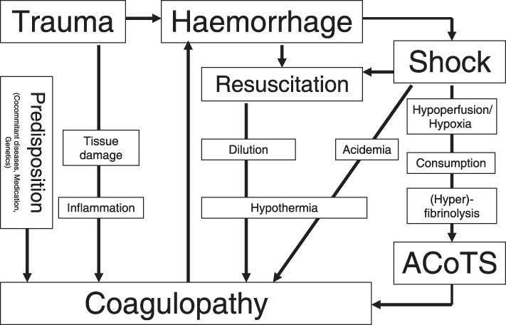 Trauma induced coagulopathy. Fixed Ratio or Goal Directed Therapy? | MEDEST