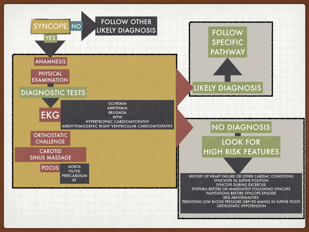 Syncope. We need a prehospital pathway. | MEDEST